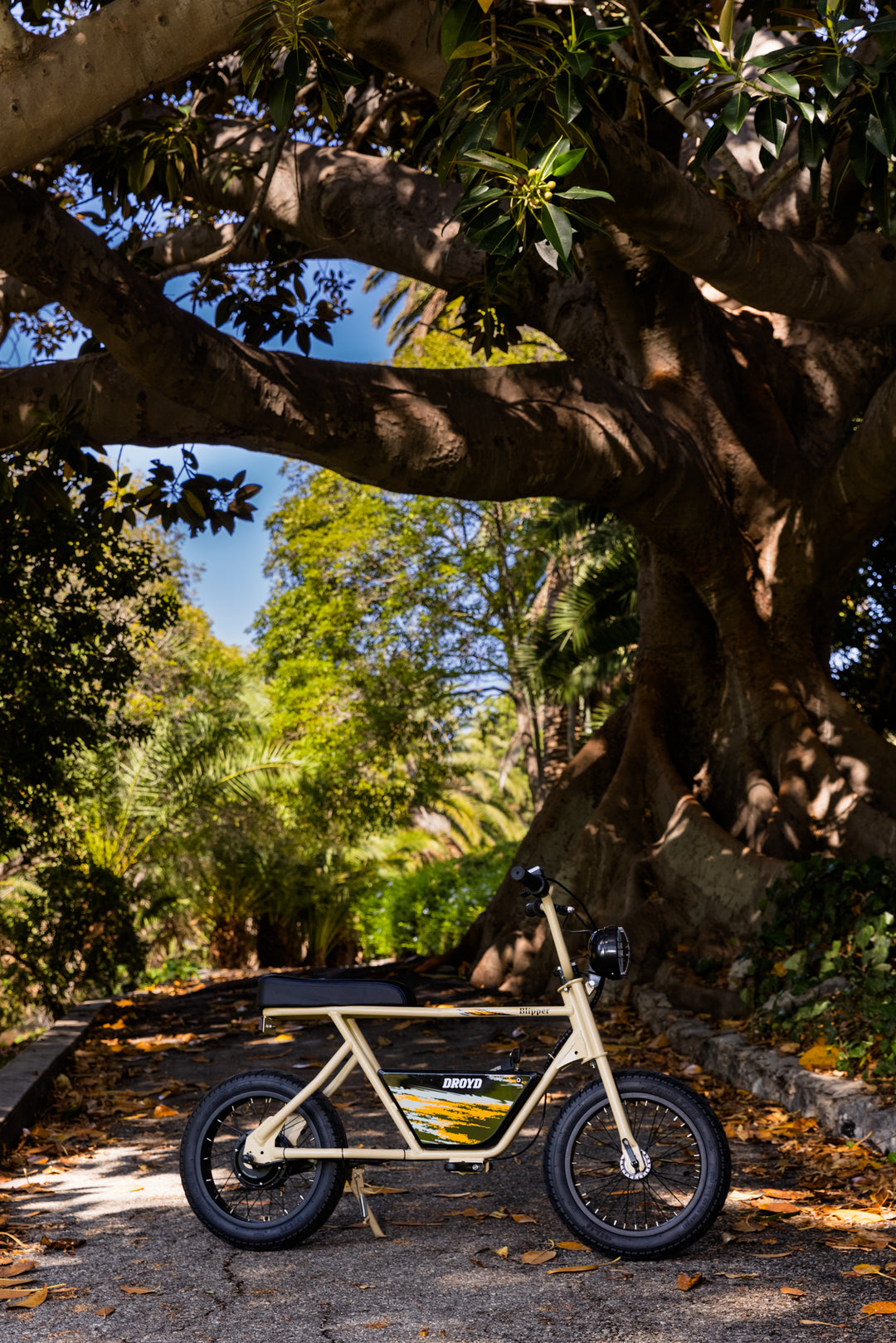 Droyd Authorized Dealers - Droyd